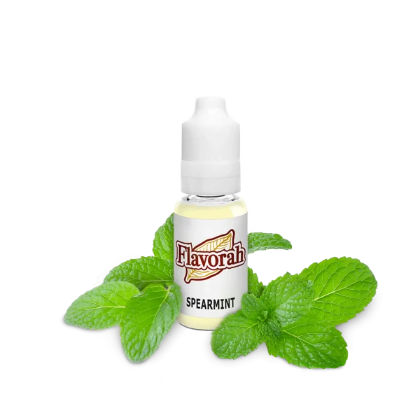 Spearmint Concentrate - Aldi Specialbuys | Limited-Time Home & Tech Steals